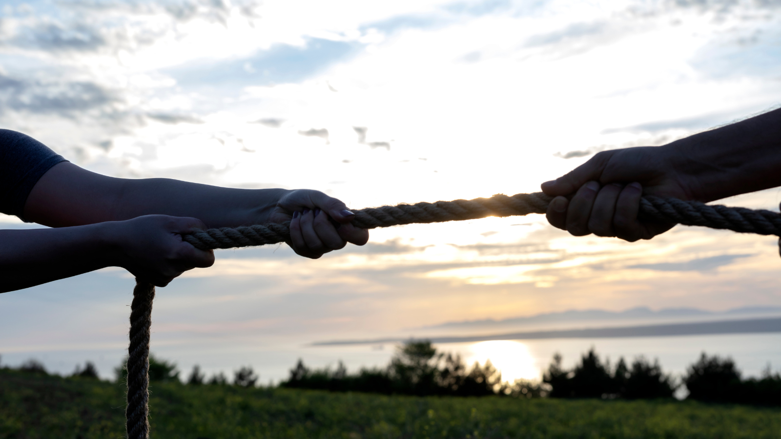 How do we tangibly grow inclusive teams?